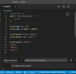 R and radian on macOS and VSCode | L.